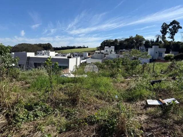 Terreno / Lote para Venda em Pato Branco/PR São Francisco