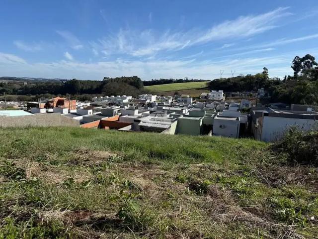 Terreno / Lote para Venda em Pato Branco/PR São Francisco