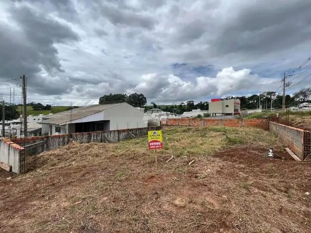 Terreno / Lote para Venda em Pato Branco/PR São Francisco