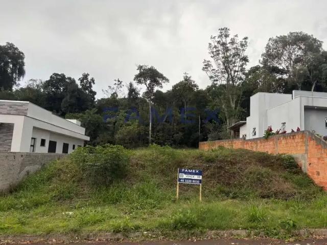 Terreno / Lote para Venda em Pato Branco/PR São Luiz