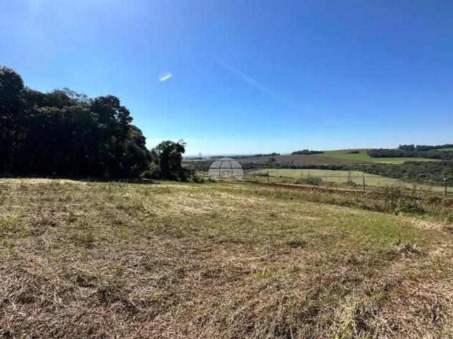 Terreno / Lote para Venda em Pato Branco/PR São Luiz