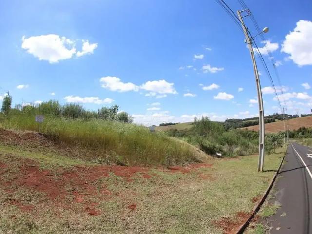 Terreno / Lote para Venda em Pato Branco/PR São Luiz