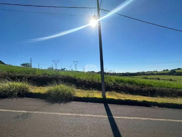 Terreno / Lote para Venda em Pato Branco/PR São Luiz