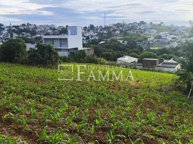 Terreno / Lote para Venda em Pato Branco/PR São Luiz