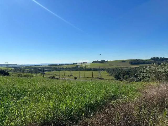 Terreno / Lote para Venda em Pato Branco/PR São Luiz