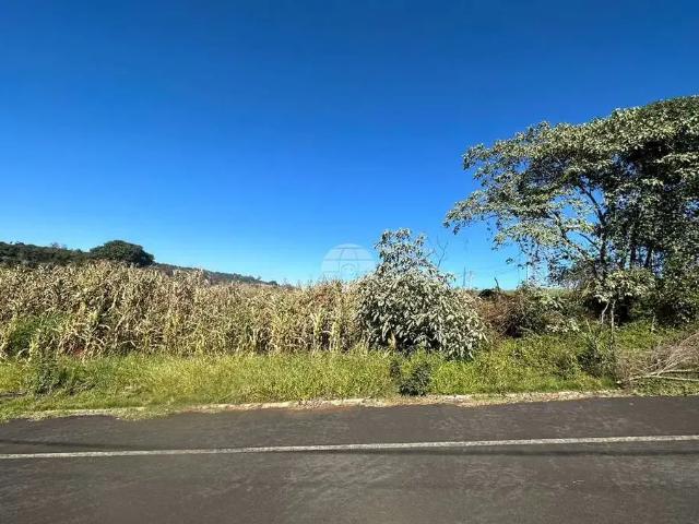 Terreno / Lote para Venda em Pato Branco/PR São Luiz
