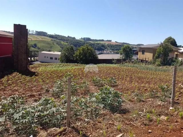 Terreno / Lote para Venda em Pato Branco/PR Santa Terezinha