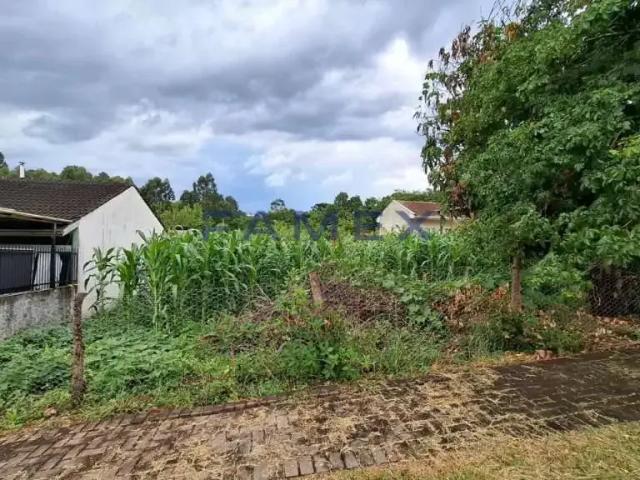 Terreno / Lote para Venda em Pato Branco/PR Santa Terezinha