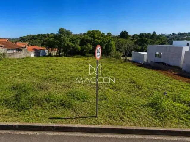 Terreno / Lote para Venda em Pato Branco/PR Santa Terezinha