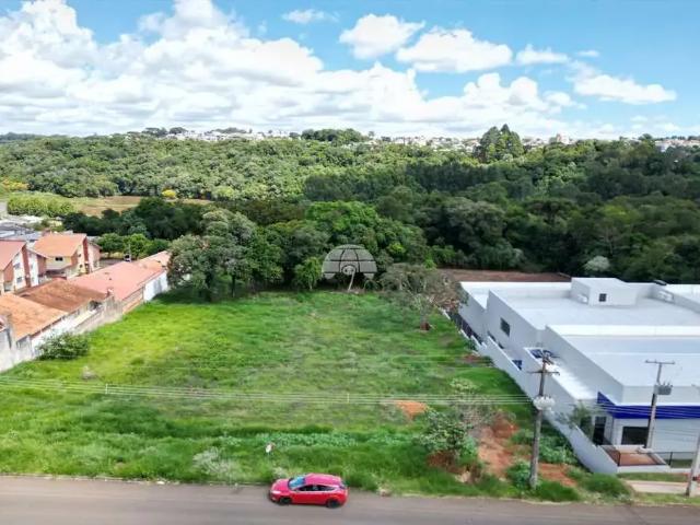 Terreno / Lote para Venda em Pato Branco/PR Santa Terezinha
