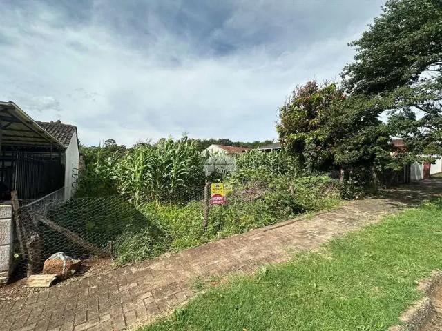 Terreno / Lote para Venda em Pato Branco/PR Santa Terezinha