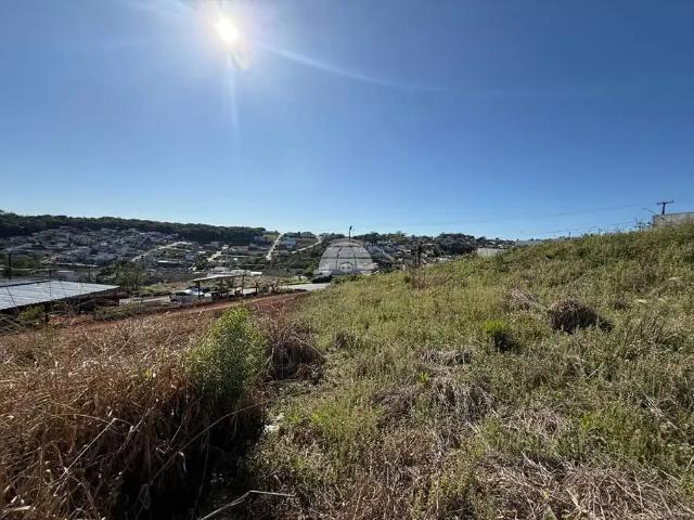 Terreno / Lote para Venda em Pato Branco/PR Vila Isabel