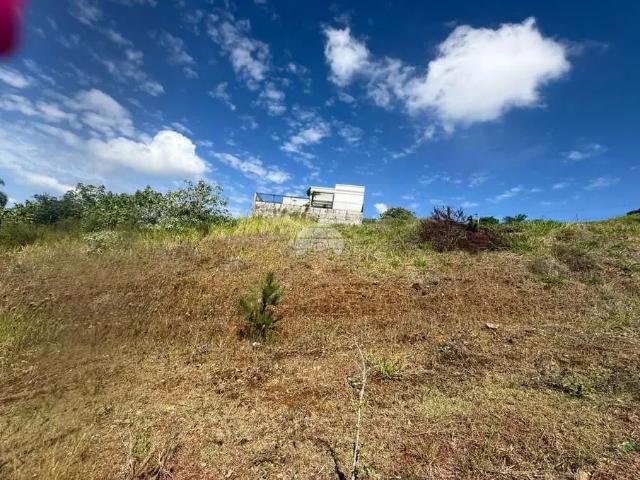 Terreno / Lote para Venda em Pato Branco/PR Vila Isabel