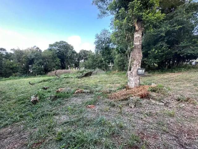 Terreno / Lote para Venda em Pato Branco/PR Vila Isabel