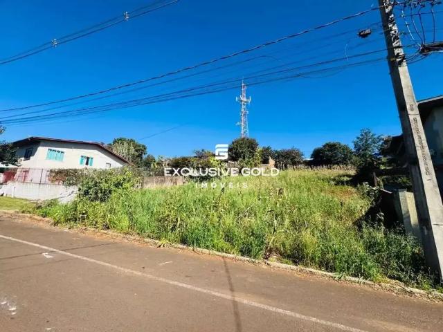 Terreno / Lote para Venda em Pato Branco/PR Vila Isabel