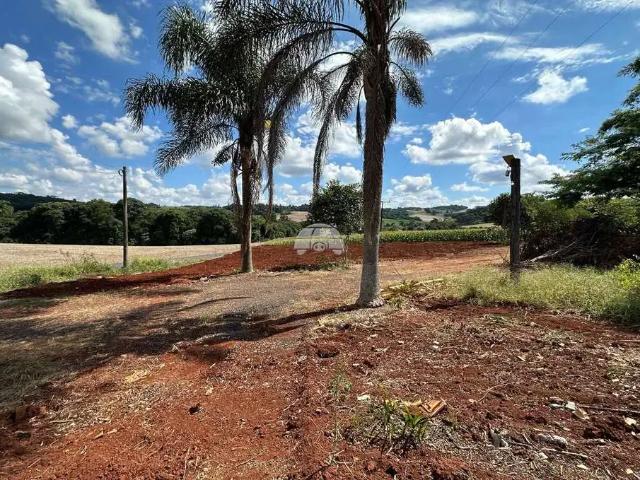 Terreno / Lote para Venda em Pato Branco/PR Zona Rural