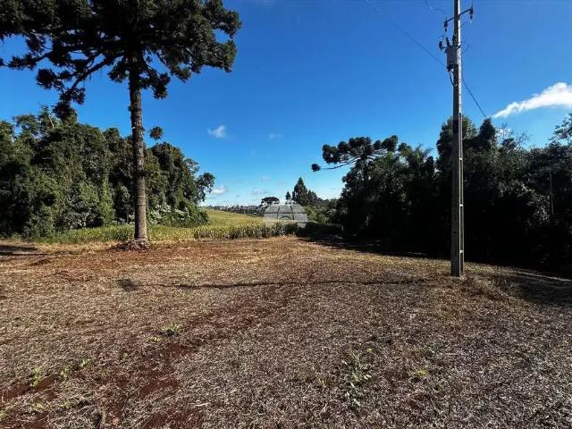 Terreno / Lote para Venda em Pato Branco/PR Zona Rural
