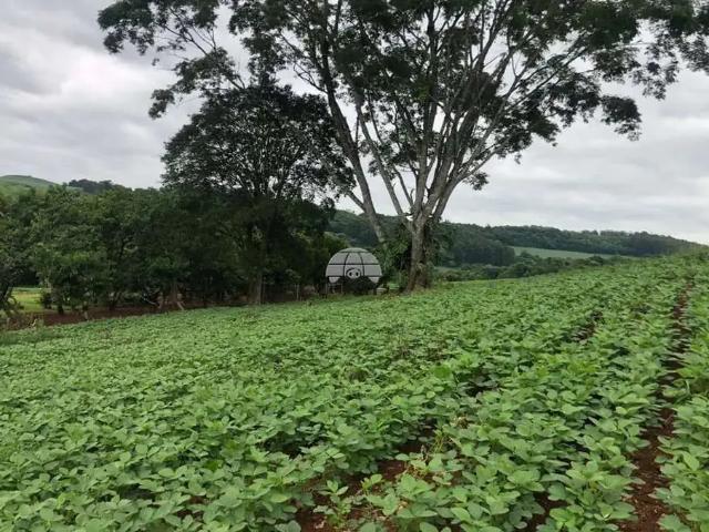 Terreno / Lote para Venda em Pato Branco/PR Zona Rural