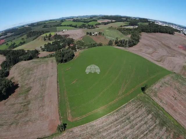 Terreno / Lote para Venda em Pato Branco/PR Zona Rural