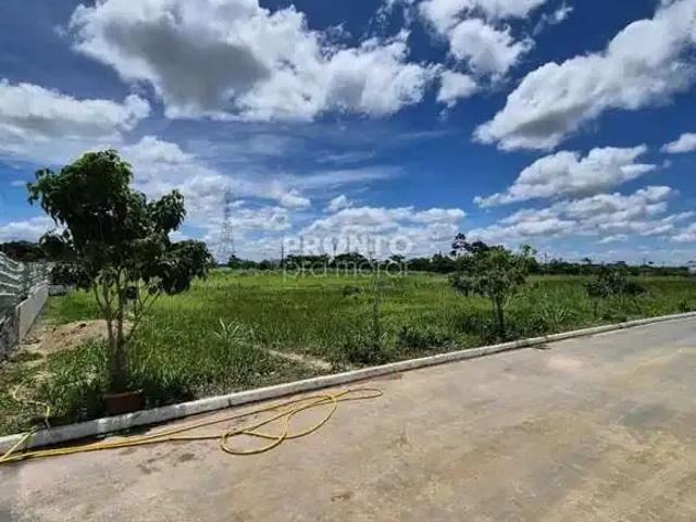 Terreno / Lote para Venda em Paudalho/PE Aldeia dos Camarás