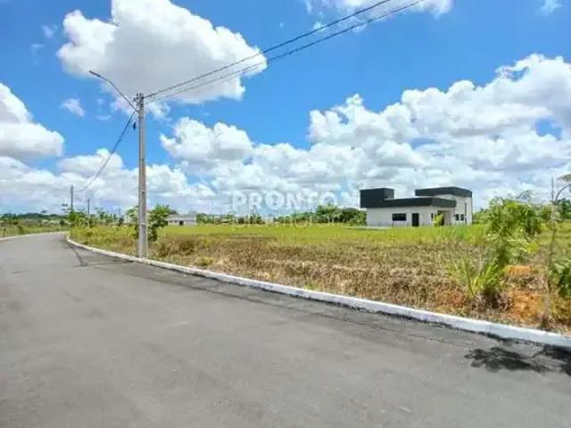 Terreno / Lote para Venda em Paudalho/PE Aldeia dos Camarás