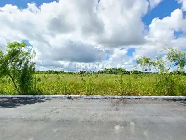 Terreno / Lote para Venda em Paudalho/PE Aldeia dos Camarás