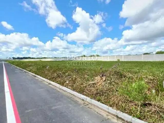 Terreno / Lote para Venda em Paudalho/PE Aldeia dos Camarás