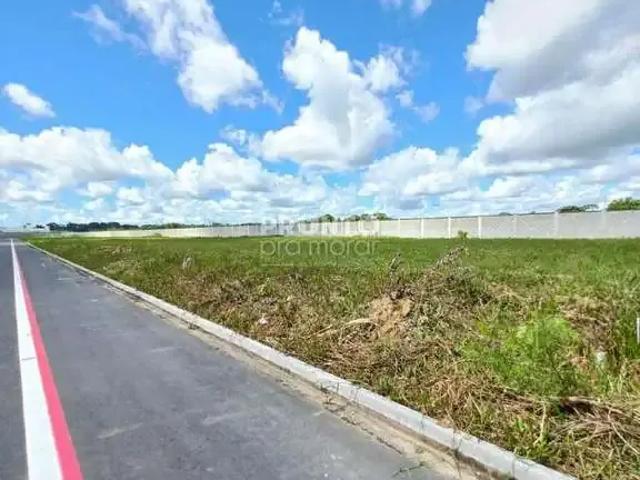 Terreno / Lote para Venda em Paudalho/PE Aldeia dos Camarás