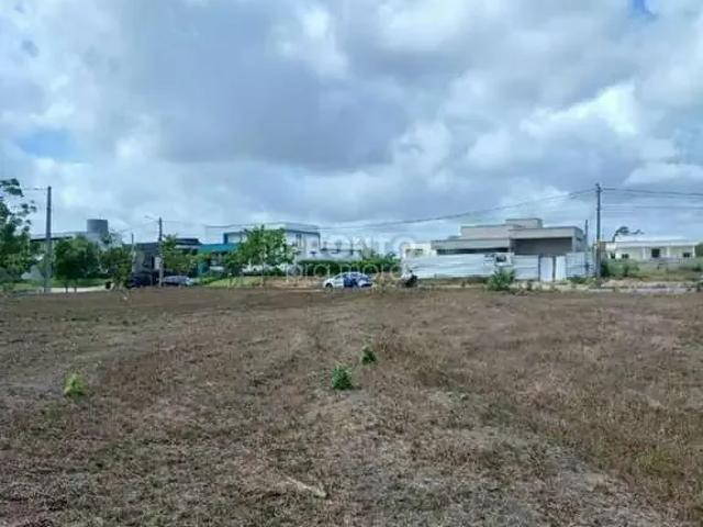 Terreno / Lote para Venda em Paudalho/PE Aldeia dos Camarás