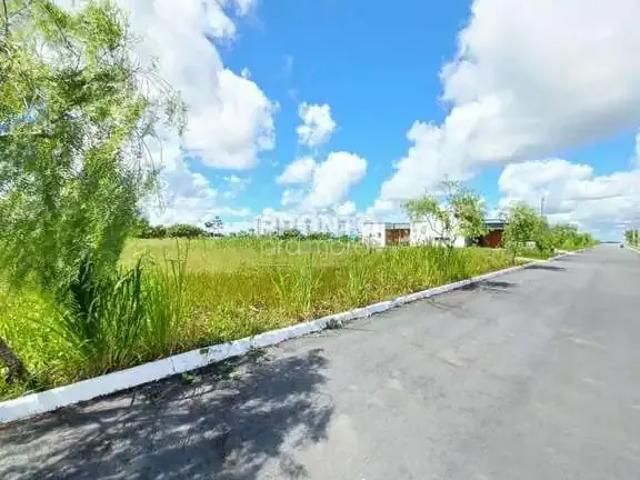 Terreno / Lote para Venda em Paudalho/PE Aldeia dos Camarás