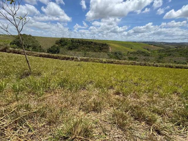 Terreno / Lote para Venda em Paudalho/PE Centro