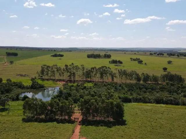 Terreno / Lote para Venda em Paulínia/SP Betel