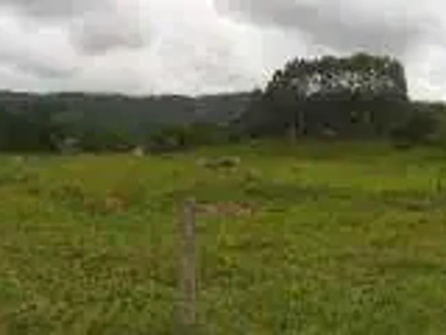 Terreno / Lote para Venda em Paulínia/SP Betel