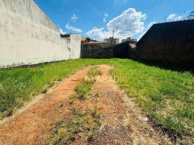 Terreno / Lote para Venda em Paulínia/SP Jardim Vista Alegre