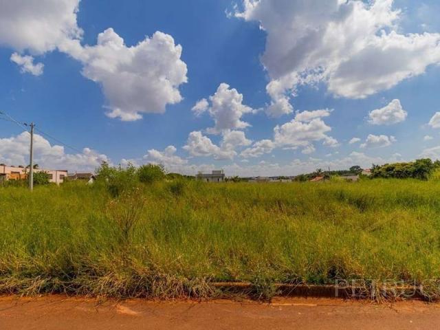 Terreno / Lote para Venda em Paulínia/SP Jardim dos Calegaris