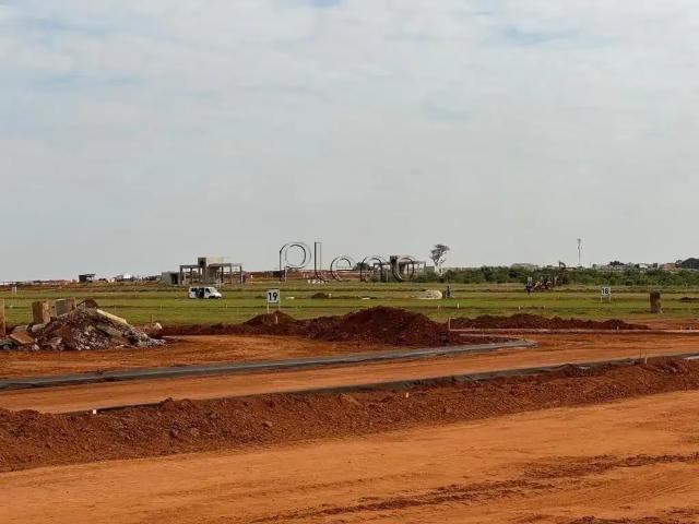 Terreno / Lote para Venda em Paulínia/SP Jardim Flamboyant