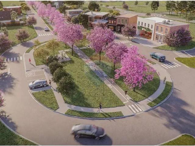 Terreno / Lote para Venda em Paulínia/SP João Aranha