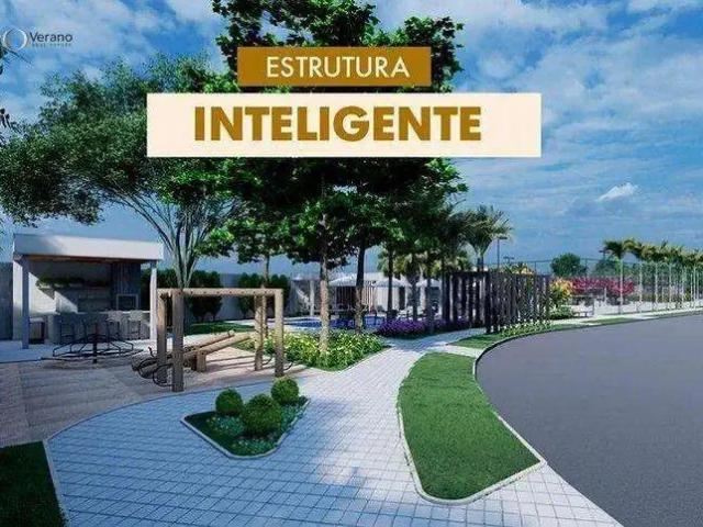 Terreno / Lote para Venda em Paulínia/SP Santa Terezinha