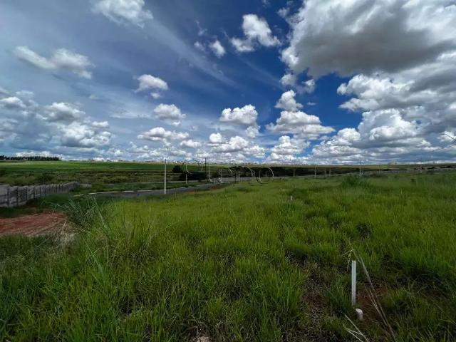 Terreno / Lote para Venda em Paulínia/SP Vila Monte Alegre