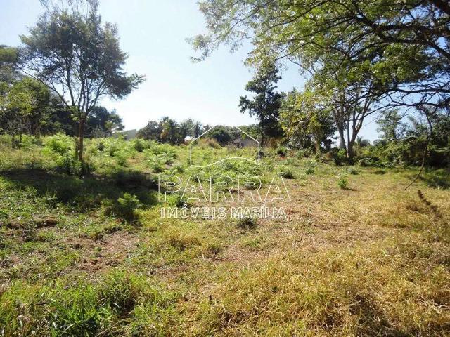 Terreno / Lote para Venda em Paulicéia/SP Centro