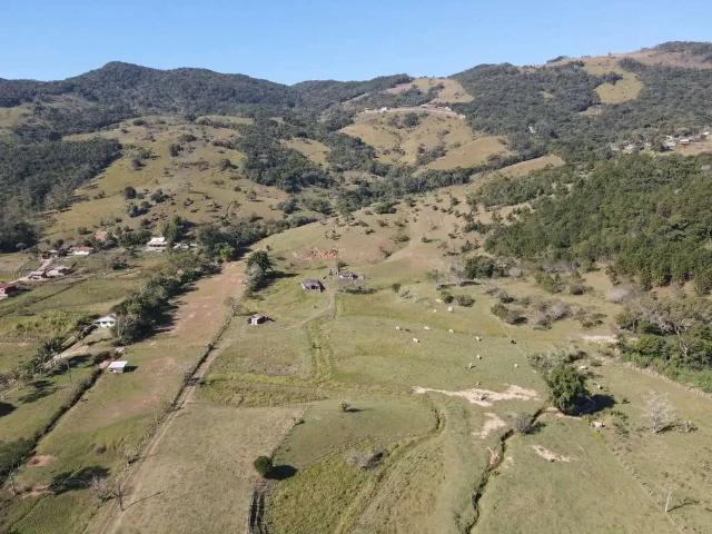 Terreno / Lote para Venda em Paulo Lopes/SC Morro do Freitas