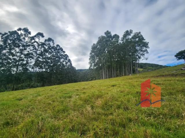 Terreno / Lote para Venda em Paulo Lopes/SC Morro do Freitas