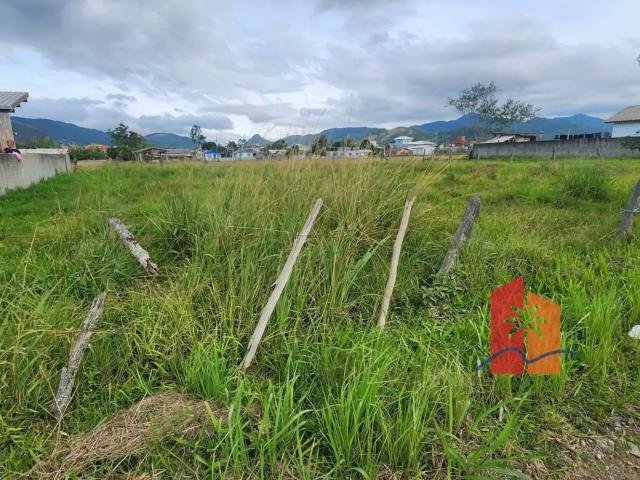 Terreno / Lote para Venda em Paulo Lopes/SC Areias