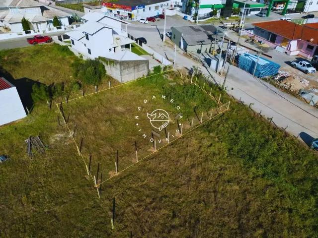 Terreno / Lote para Venda em Paulo Lopes/SC Centro