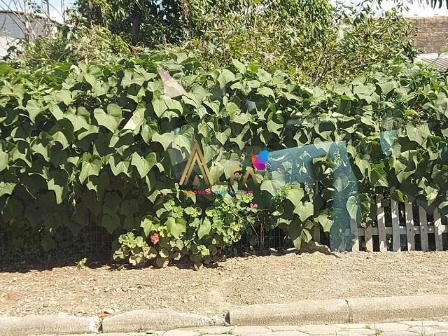Terreno / Lote para Venda em Penha/SC Nossa Senhora de Fátima