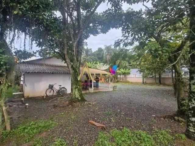 Terreno / Lote para Venda em Penha/SC Armação