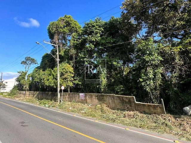 Terreno / Lote para Venda em Penha/SC Armação