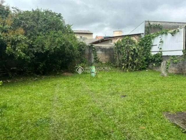 Terreno / Lote para Venda em Penha/SC Armação