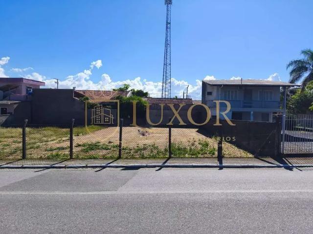 Terreno / Lote para Venda em Penha/SC Armação