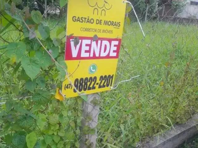 Terreno / Lote para Venda em Penha/SC Armação
